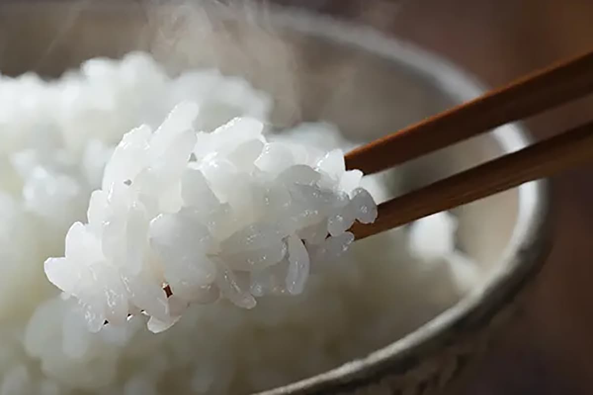 [日立]京の米老舗が認めた甘みと粒立ちを実現した炊飯器発売！ 目指したのは、お米一粒のうまさ - monocoto｜ モノがわかる コトが見える｜モノコト