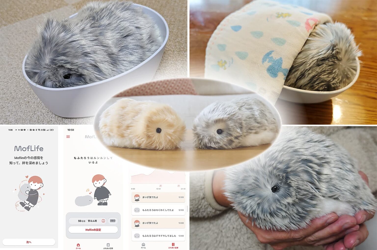 【レビュー】AIロボットに癒され、救われた！共に過ごした2か月間、その存在意義を改めて問う - MONOCOTO｜ モノがわかる コトが見える｜モノコト