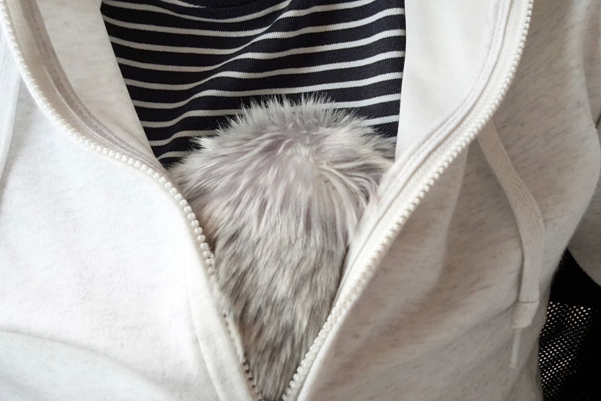 【レビュー】AIロボットに癒され、救われた！共に過ごした2か月間、その存在意義を改めて問う - MONOCOTO｜ モノがわかる コトが見える｜モノコト