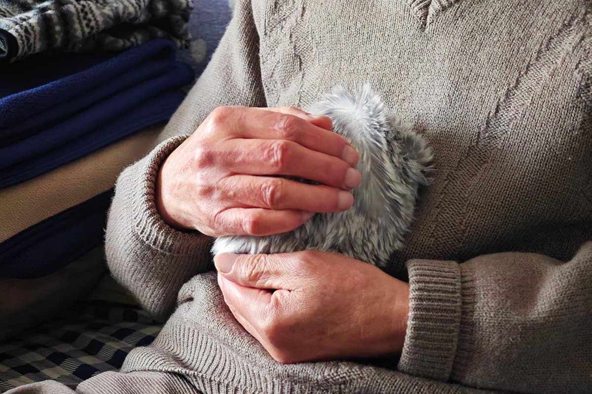 【レビュー】AIロボットに癒され、救われた！共に過ごした2か月間、その存在意義を改めて問う - MONOCOTO｜ モノがわかる コトが見える｜モノコト