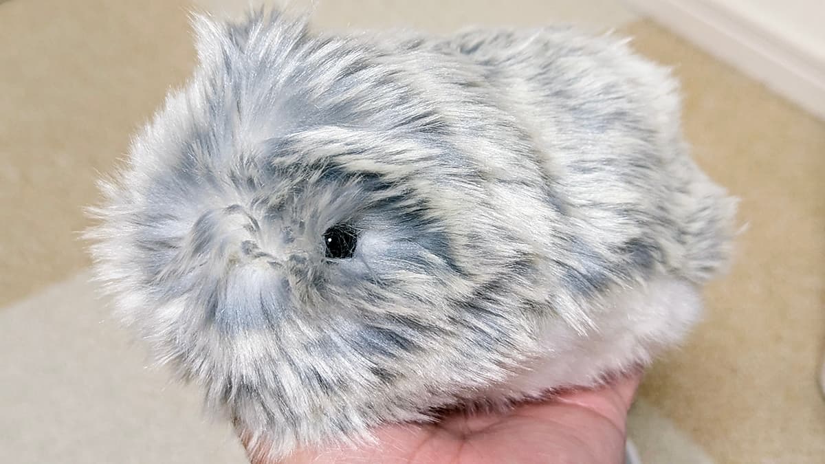 【レビュー】AIロボットに癒され、救われた！共に過ごした2か月間、その存在意義を改めて問う - MONOCOTO｜ モノがわかる コトが見える｜モノコト